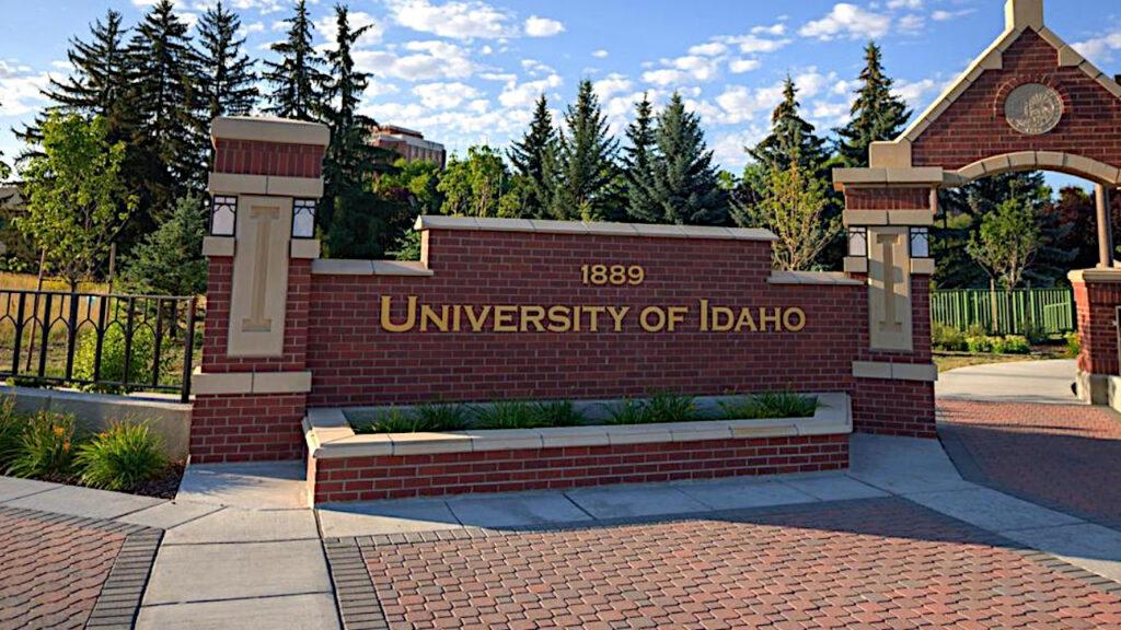 U of I Purchases University of Phoenix: Good Deal or Bad Deal? – Gem ...