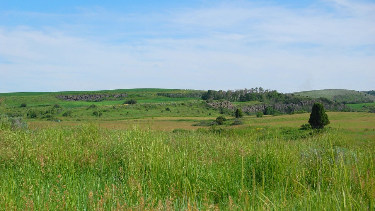 The Time to Encourage Local Land Management Is Now, Here’s Why – Gem ...