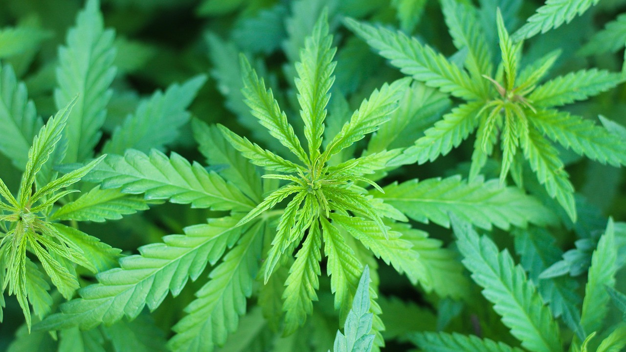 Statement: AG Labrador and Seven States Raise Concerns About Federal ...